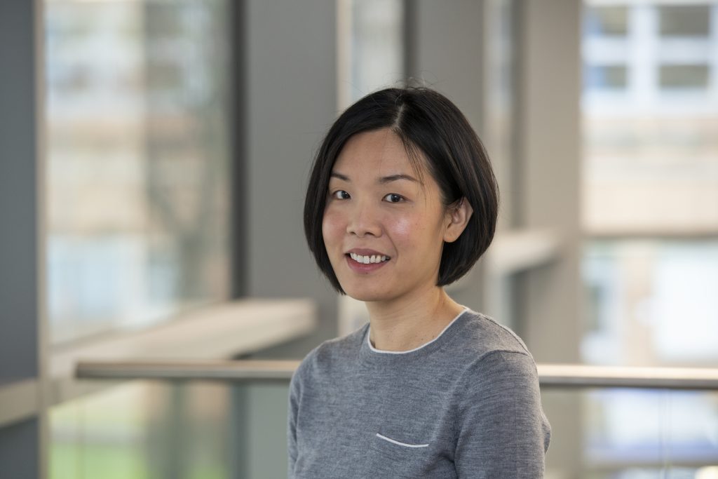 New insight into how antibodies bind to the immune system - Centre for ...