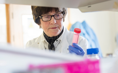 Southampton Professor celebrated after distinguished career at the ...